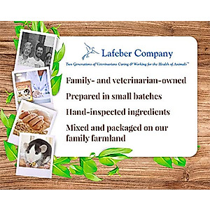 LAFEBER'S Rascally Rat Nutri-Berries, Made with Non-GMO and Human-Grade Ingredients, for Rats, 10 oz