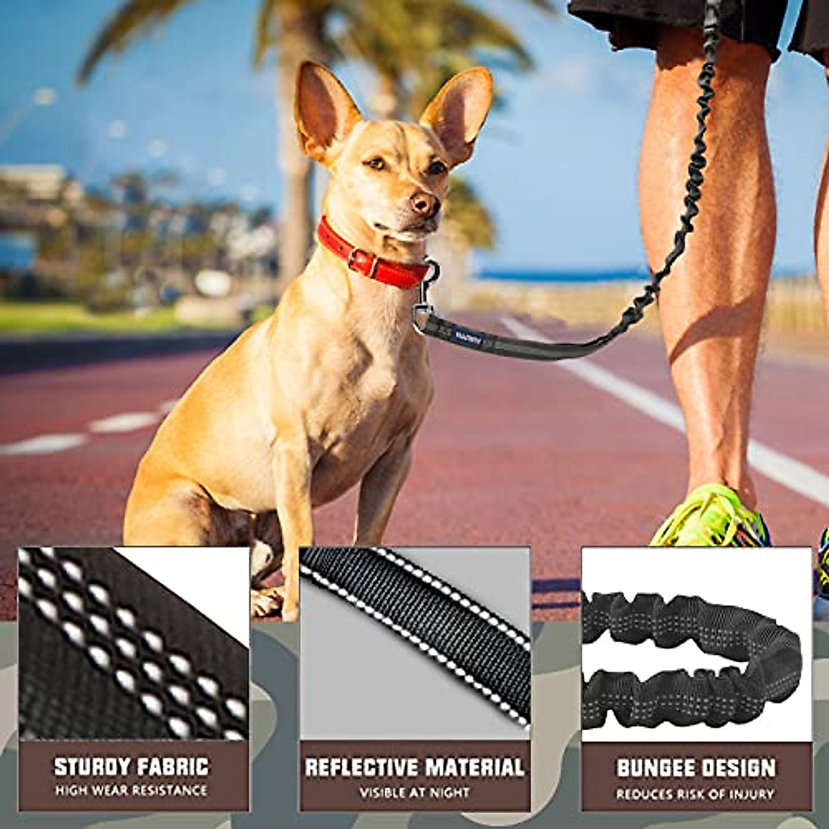 AUROTH Dog Leash Large Dogs, Heavy Duty Dog Leash Bungee, No Pull Dog Leash for Shock Absorption, Black Dog Training Leashes for Medium Large Breed Dogs 6FT, 2 Padded Handles