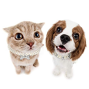 Hicarer 2 Pieces Small Dog Cat Pearl Collars and PET Pearl Necklace Set Cute Fashion PET Pu Leather Collars Necklace with Crystal Rhinestone for Dogs Cats Puppy Kitten Wedding Birthday Party (S)
