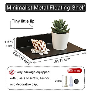 Z metnal Small Metal Shelves, Mini Floating Shelf for Collection Action Figures Speaker, Decor Display Wall Shelf, Aluminum, Wall Mounted, Matt Black, 10 inch, 2 Pack