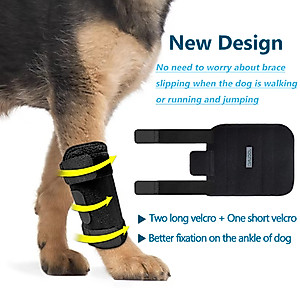 JOCUND Dog Front Leg Brace, Pair of Dog Leg Brace with Metal Strips, Canine Front Leg Hock Wrap Sleeve for Carpal Support, Protects Wounds Brace Heals and Prevents Injuries and Sprains (L/XL)