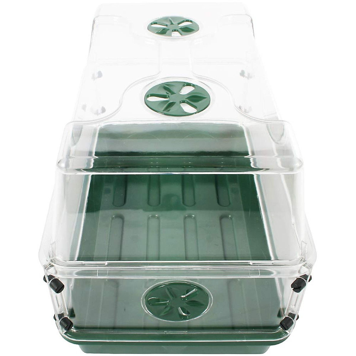 EarlyGrow 93763 Medium Seed and Herb Domed Propagator with Vented Side Height Extension, Green