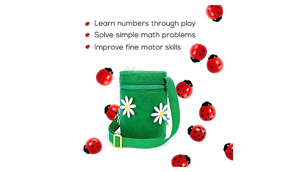 Counting Ladybugs Montessori Toy for Kids 3-5 | Educational Counting Set