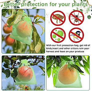 200 Pcs Fruit Protection Bags Fruit Netting Bags with Drawstring Fruit Bags for Fruit Fruit Protect Bags Vegetable Fruit Net Fruit Cover Mesh Bag for Protecting Fruits(Fruit Green,6 x 8 Inch)