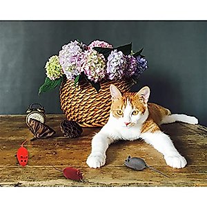 Andiker 3Pcs Cat Mouse Toy, Flocking Squeaking Mouse Cat Toy 3 Random Colors Soft Small Cat Toys for Indoor Cats Interactive Cat Toy for Cats and Kitten to Catch and Bit (3pcs)