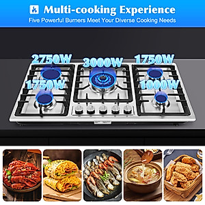 5 Burners Built in Gas Stovetop Cooker Gas Range Portable Stainless Steel Cooktop LPG/NG Dual Fuel Cast Iron Grate Gas Stove Kitchen Cooking Stove for Home RV Outdoor Apartment Silver(33.85x19.68Inch)