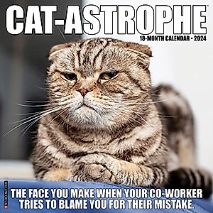 Willow Creek Press Cat-astrophe Monthly 2024 Wall Calendar (12" x 12")