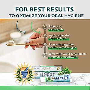 Auromere Ayurvedic Herbal Toothpaste, Fresh Mint - Vegan, Natural, Non GMO, Fluoride Free, Gluten Free, with Neem & Peelu (4.16 oz), 1 Pack