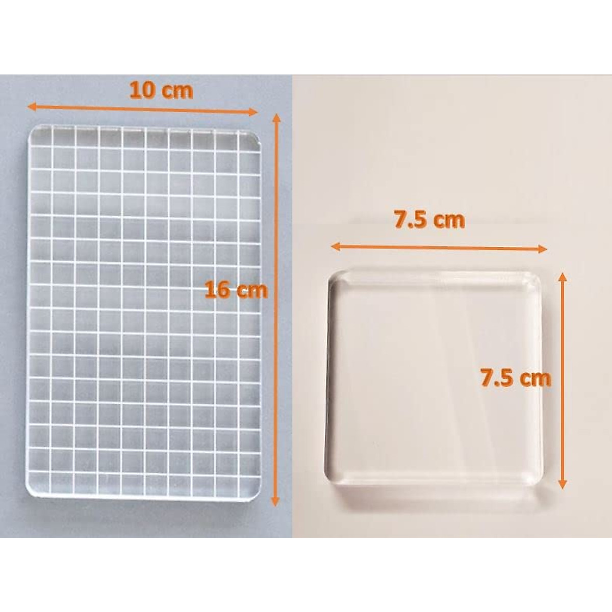 Forever Stamps Silicone Clear Stamps - Plants Botanic Pattern with Arylic Block Set for Card Making Decoration and DIY Scrapbooking ZENTA