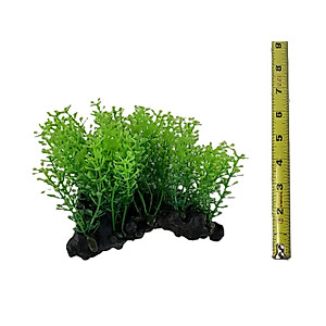 Gingerbread Pet Supply Aquatic Plastic Plant with Large Rock Base