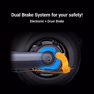 Segway Ninebot E2 Electric KickScooter- 250W Brushless Motor, Up to 15.5 Miles Range & 12.4 MPH, 8.1" Shock-Absorbing Tires, Electronic Drum Brake, Commuter E-Scooter for Adults and Teens