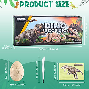 FOJELD Dinosaur Eggs Excavation Kit - 12 Unique Eggs Dinosaur Toy, Science STEM Gifts for Boys Girls Age 6-12