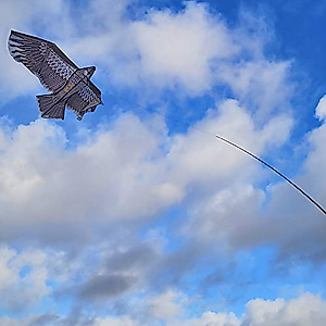 Defenders Hawk Kite (Humane Effective Bird Scarer for Buildings, Gardens, Crops)