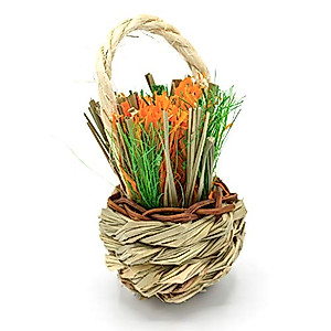 Oxbow Enriched Life Celebration Basket