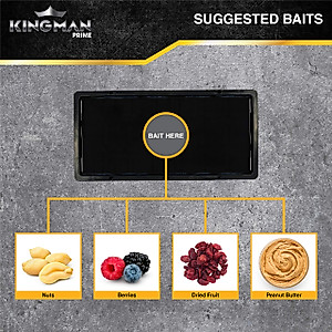 KINGMAN PRIME Mouse Trap Rat Trap Glue Trap/Board (Large Size) (6 Pack / 12 Traps) Rodent Trap Safe Easy Non-Toxic