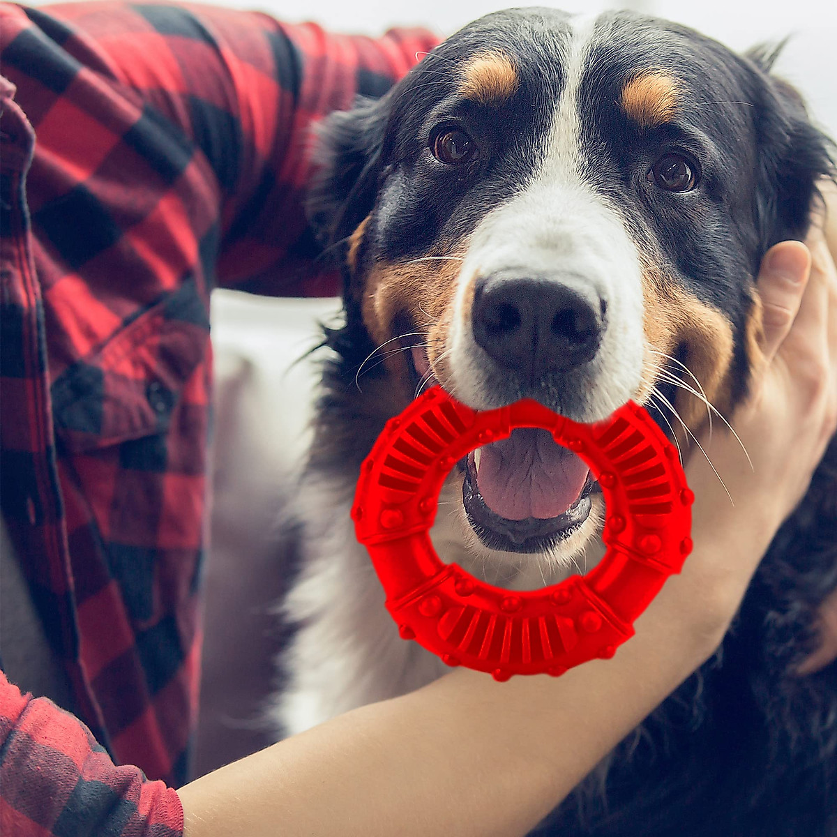 SIMENA Heavy Duty Dog Chew Toy, Natural Teething Toy for Medium Breeds, Tough Durable Chewy Toy, Teeth Cleaning Tough Dog Toys (Ring, Red)