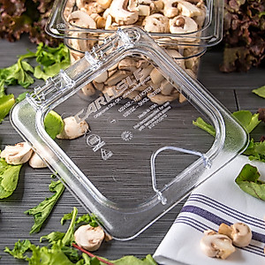 Carlisle FoodService Products Storplus Ez Access 1/6 Size Hinged Universal Food Pan Lid with Notch for Catering, Buffets, and Restaurants, Polycarbonate, Clear