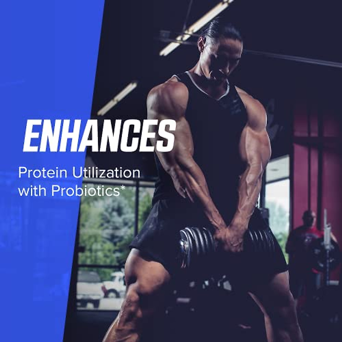 Bodybuilding Signature Signature Mass Gainer | 50g of Mass-Building Protein | Protein, Calories, Fats, Probiotics and Carbohydrates | 5 Lbs. Vanilla