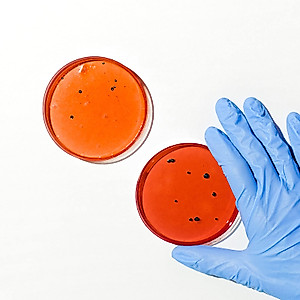 50 Pack Petri Dishes with 100 Pcs Lids, 90 x 15 mm Disposable Sterile Petri Dishs, Plastic Clear Petri Dishs, Lab Petri Dishes with 3ml Transfer Pipettes