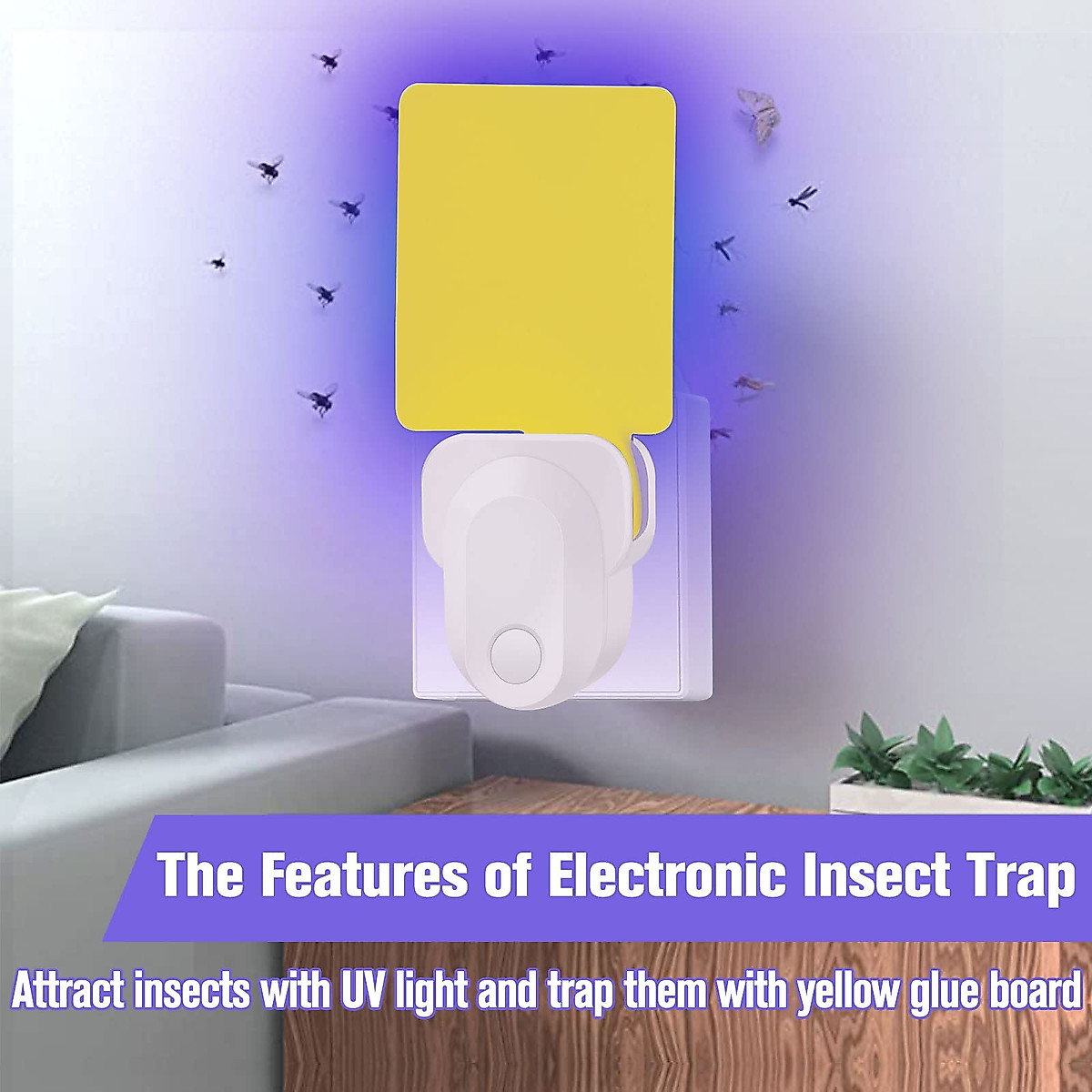 Electronic Flying Insect Trap Plug in, Fruit Flying Traps for Indoor and Office, Flea, Mosquito, Fly, Gnat, Moth, and Bug Killer Catcher, Mosquito Trap with Night Light 1 Pack 5 Sticky Boards