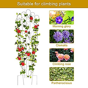 XYADX Metal Detachable Trapezoidal Garden Trellis for Climbing Plants, 60 Inches Sturdy Patio Plant Support for Indoor Plants Trellis for Rose, Vegetable Flower, Backyard Pack of 2 - White