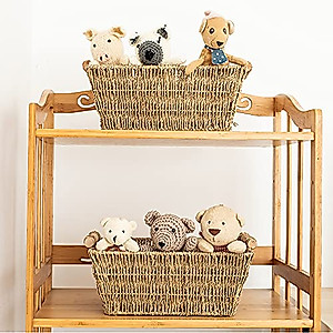 Handmade Woven Wicker Storage Baskets, 2-Pack, Seagrass Shelf Baskets for Organizing & Sorting, Toilet Paper Towel Holder Basket with Wooden Handles, Iron frame, 11.8" x 10.2" x 4.8"