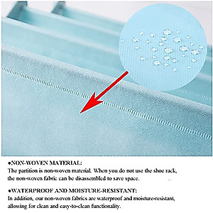 CARURLIFF 2 Packs Assemblable Small Shoe Racks Can Hold 8-12 Pairs Kids Shoe Rack Organizer for Entryway, Closet, Children's Bedroom (Blue & Pink - 4 Tier)