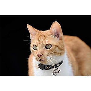 Star Charm Studded Cat Collar Breakaway with Bell,Black Puppy Collars for Small Dogs