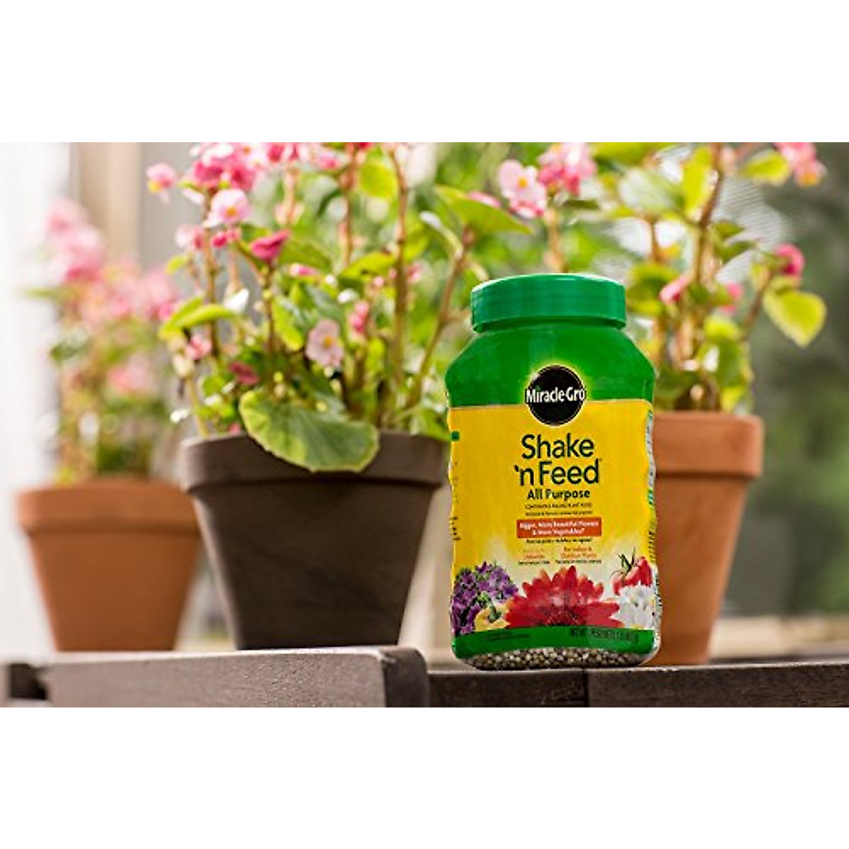 Miracle-Gro Shake 'n Feed All Purpose Continuous Release Plant Food, 1-Pound (Slow Release Plant Fertilizer)