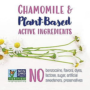 Boiron Camilia Teething Drops for Daytime and Nighttime Relief of Painful or Swollen Gums and Irritability in Babies - 40 Count (Pack of 1)