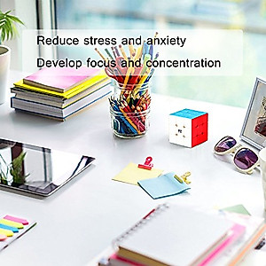 Roxenda Speed Cube Set, Speed Cube Bundle of 2x2x2 and 3x3x3 Cube Smoothly Magic Cube Collection for Kids Teens & Adults [2 Pack] (Stickerless)