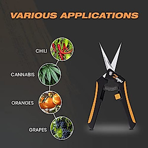 Zegos Bud Trimming Scissor 1 Pack with Stainless-Steel Straight Blades, Precision Pruning Shears, Hand Pruning Snips, Garden Scissors for Herb and Bud Trimming, Bonsai Cutting (1 Pack)