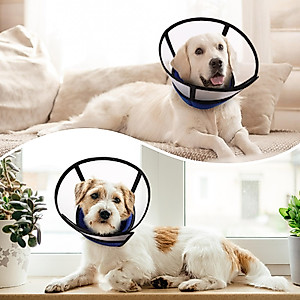 ASENKU Adjustable Dog Cone Collar, Comfortable Cone for Dogs After Surgery, Soft Dog Cone, Protective Pet Recovery Collar for Large Medium Small Dogs, Elizabethan Collar Dog Blue, M