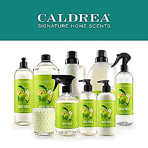 Caldrea Scented Candle, Made with Essential Oils and Other Thoughtfully Chosen Ingredients, 45 Hour Burn Time, Ginger Pomelo Scent, 8.1 oz