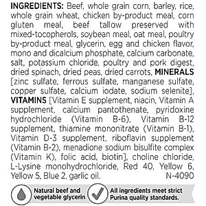 Purina Beneful Originals With Real Beef Adult Dry Dog Food, 3.5 LB