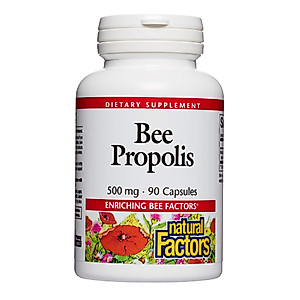 Natural Factors, Bee Propolis Extract 500 mg, Supports a Healthy Immune System, 90 capsules (90 servings)