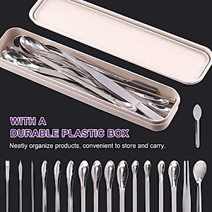 Swpeet 23Pcs Stainless Steel Micro Lab Scoop Spoon Lab Spatulas Assortment Kit, Pill Filler Tamper Tool Micro Spatula Steel Spoon Reagent Laboratory Mixing Spatula Long Sampling Spoon for Powders Gel