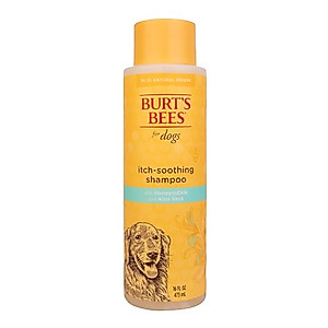 Burt's Bees for Pets Dogs Natural Itch Soothing Shampoo with Honeysuckle | Anti-Itch Dog Shampoo, 16 Ounces - 6 Pack (FF7266CP6)