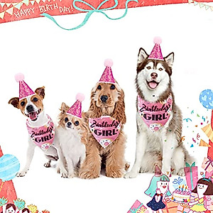 EXPAWLORER Dog Birthday Bandana Set - Cute Hat and Squeaky Monkey Toy for Birthday Party Supplies Gift - Great for Small Medium Large Dogs
