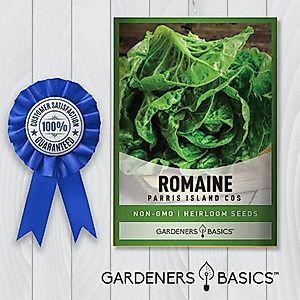 Romaine Lettuce Seeds for Planting - Parris Island Cos Heirloom, Non-GMO Vegetable Variety- 2 Grams Seeds Great for Spring, Summer, Fall, Winter Garden and Hydroponics by Gardeners Basics