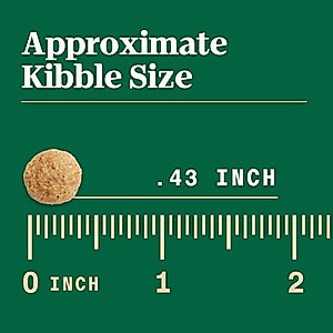 Nutro Max Adult Dry Dog Food with Farm-Raised Chicken, 36 lb. Bag