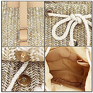 Felice Ann Women Medium Straw Woven Backpack Flap Drawstring Daypack