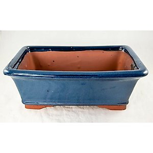 1 Pcs Rectangular Bonsai / Cactus & Succulent Pot + Mesh 12"x 9"x 4" - Dark Blue