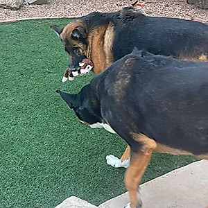 Jalousie 5 Pack Tough Plush Animal Dog Toys Assortment Value Bundle Dog Squeaky Toys Assortment Puppy Pet Mutt Dog Toy Dog Squeak Toy for Medium Large Dogs (5 Pack Dots)