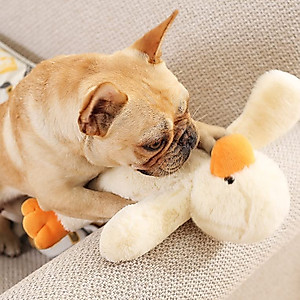 HOOPET Plush Duck Dog Toy - Large Squeaky Soft Pillow Snuggle Cuddle Puppy Toy for Big, Medium & Small Breed Dogs
