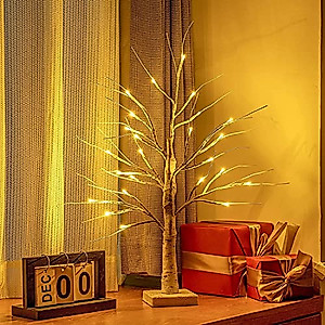ESTTOP 2FT 24LT Led Lighted Birch Tree, 24 Inch Small White Money Artificial Fairy Tree for Christmas Decorations Indoor, Battery Powered Timer Wedding Party Home Mantle Table Top Centerpieces Decor