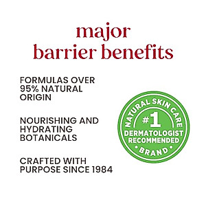 Burt's Bees Lip Balm - Original Beeswax, Cucumber Mint, Watermelon & Sweet Mandarin, With Responsibly Sourced Beeswax, Tint-Free, Natural Origin Treatment, 4 Tubes, 0.15 oz.