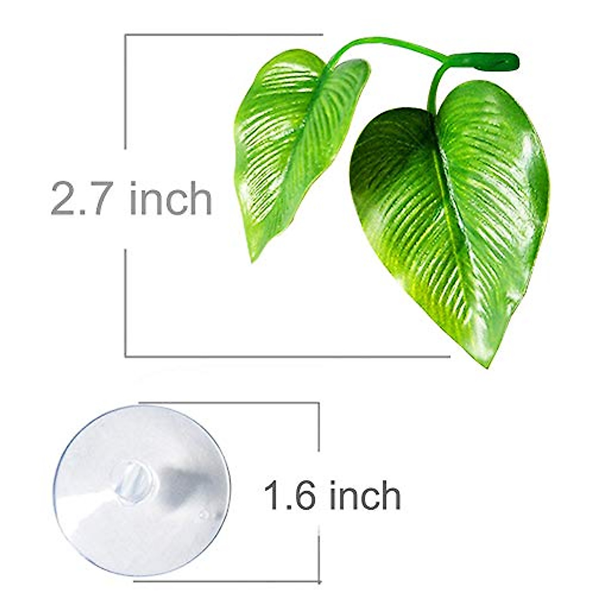 CousDUoBe 2 Pack Betta Fish Leaf Pad Improves Betta's Health by Simulating The Natural Habitat - Natural, Organic, Comfortable Rest Area for Fish Aquarium