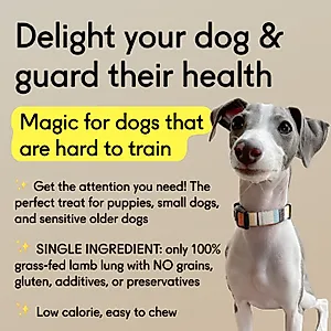 Beeb’s Lamb Lung Dog and Puppy Training Treats • 100% All Natural, Grass-Fed Lamb, Protein Rich, Single Ingredient in Plastic Free Packaging • 4 oz