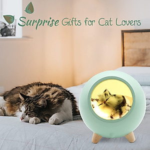 Vency Room Decor for Women, Cat Night Light for Bedroom, Cat Lover Gifts for Women Wife Mom Teen Girls, Cute Cat House Valentine Christmas Birthday Gifts (Green)